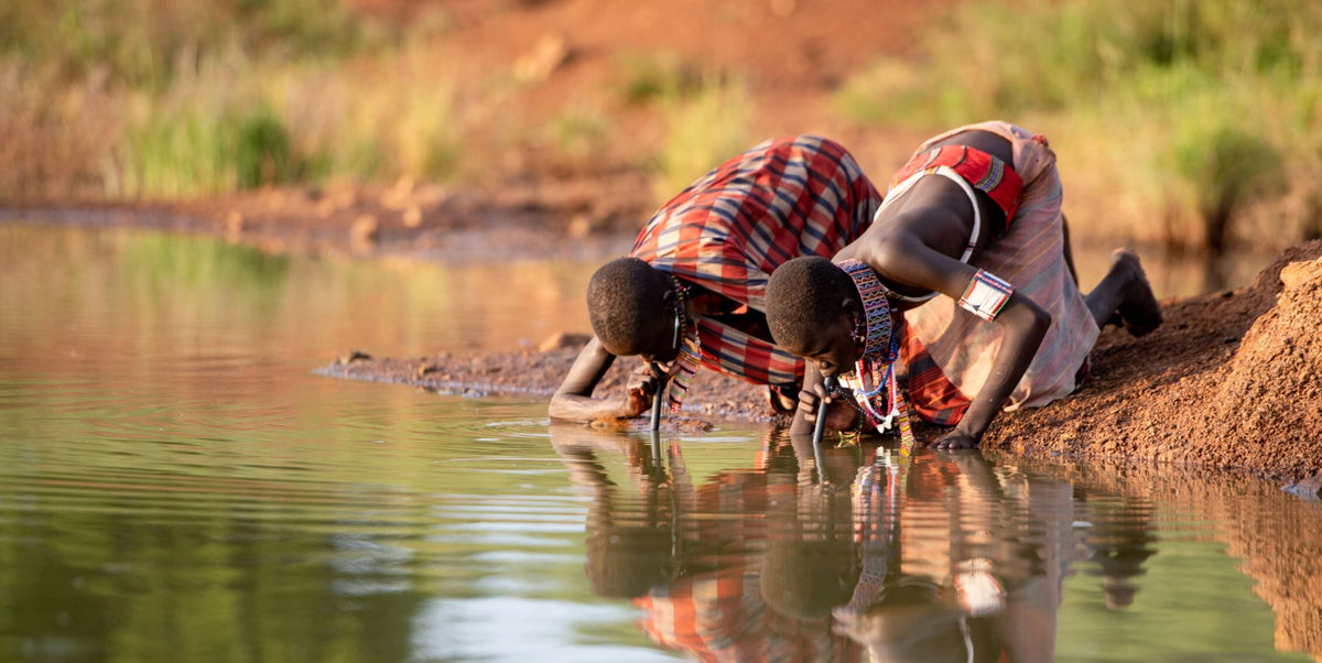 Honoring Jimmy Carter & The Fight Against Guinea Worm Disease ...